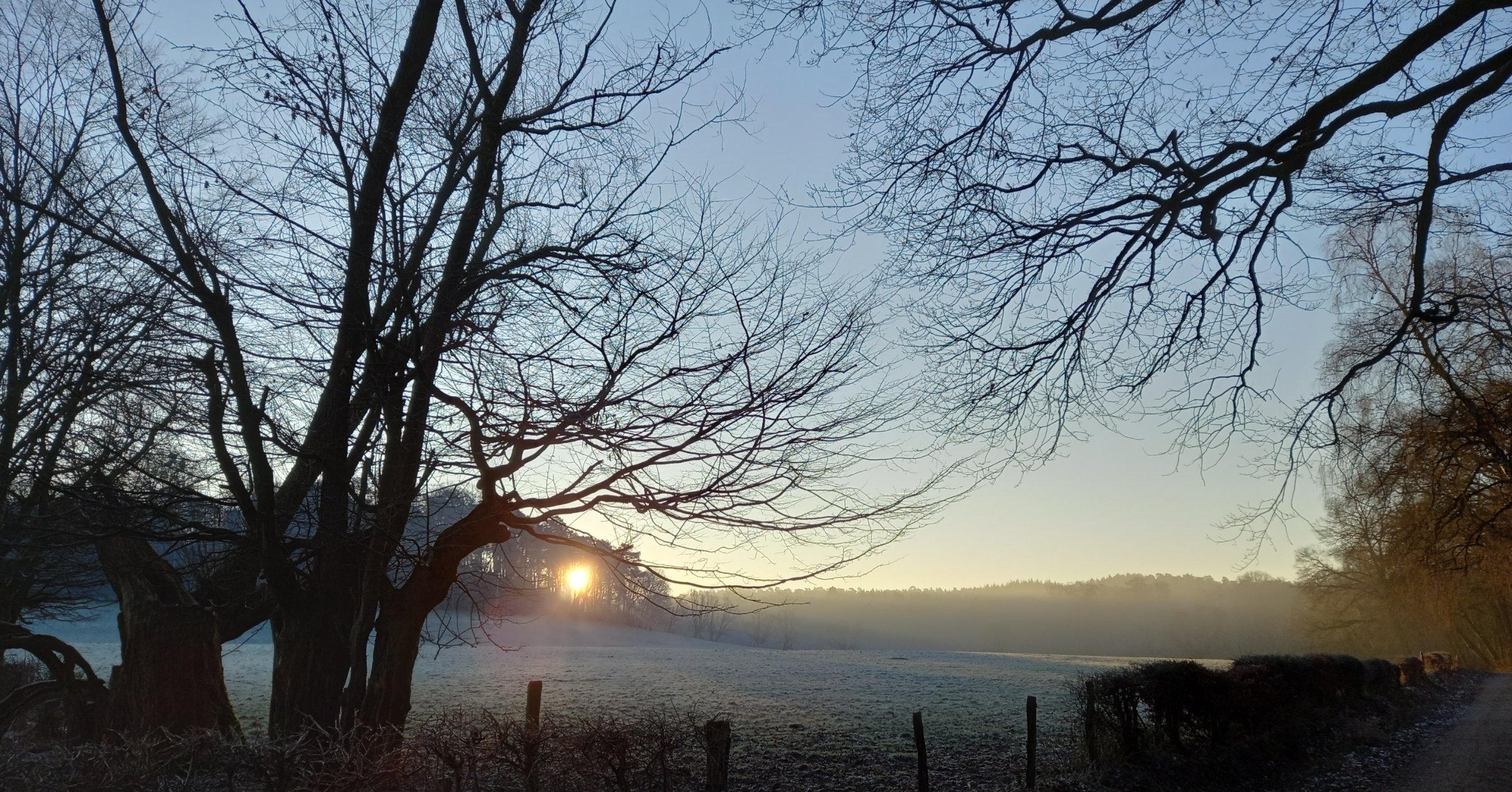 Jesus begegnet der syrophönizischen Frau (Mk 7, 24-30) | Pfarrei St ...